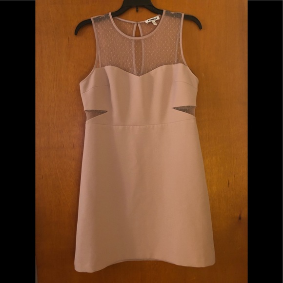 Express | Dresses | Blush Dress With Mesh Cutouts | Poshmark
